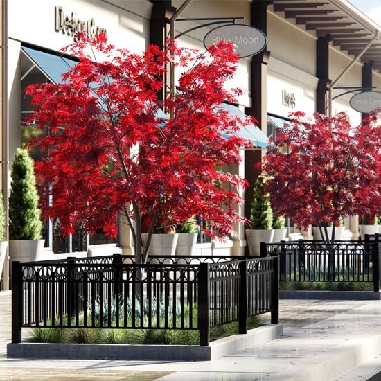 Japanese Maple tree fence 550 | T2 Site Amenities
